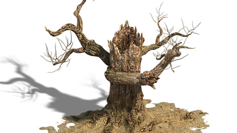 ArtStation - Barracks - desert Dead tree 06 | Game Assets