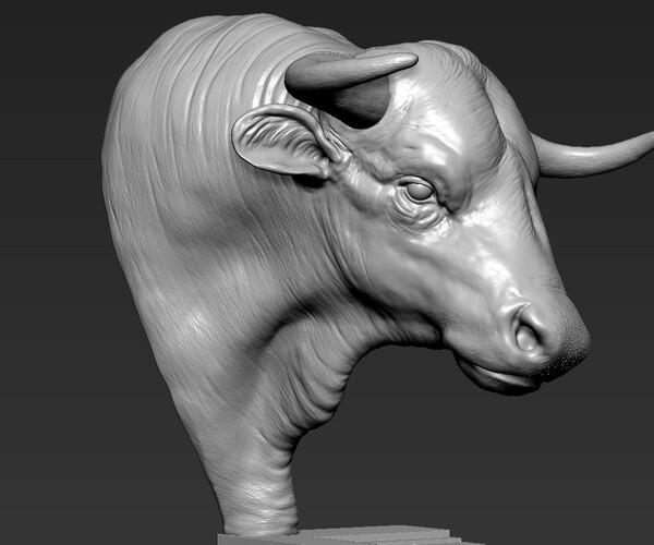 ArtStation - Head Bull | Resources