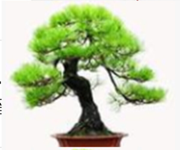 ArtStation - Alchemy - experience tree | Game Assets