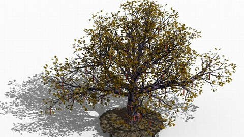 ArtStation - Prayer tree 01 | Game Assets