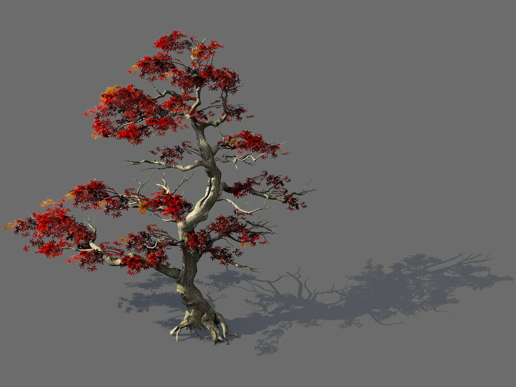 ArtStation - Game Model - Forest - Maple Tree 3 | Game Assets