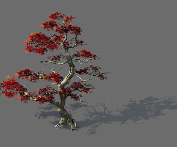 ArtStation - Game Model - Forest - Maple Tree 3 | Game Assets