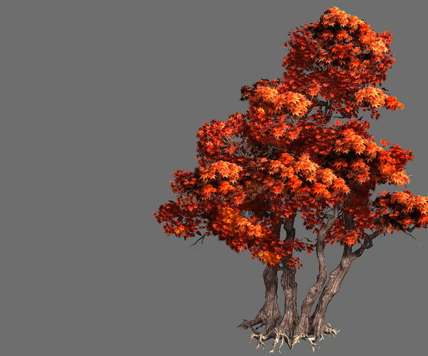 ArtStation - Game Model - Forest - Maple Tree 7 | Game Assets