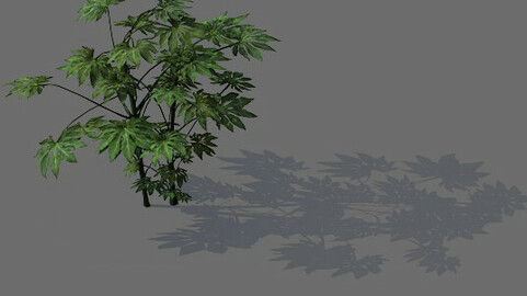 ArtStation - Game Models - Forest - Shrubs 03 | Game Assets