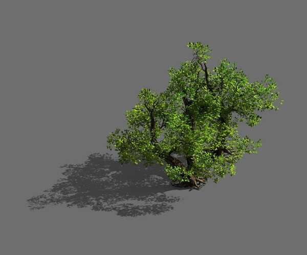 ArtStation - Game Models - Forest - Shrubs 10 | Game Assets