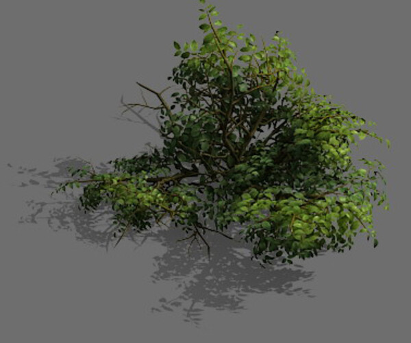 ArtStation - Game Model - Forest - Shrub 15 | Game Assets
