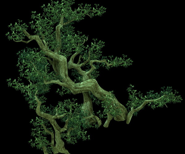 ArtStation - Game Model - Forest - Tree 02 | Game Assets