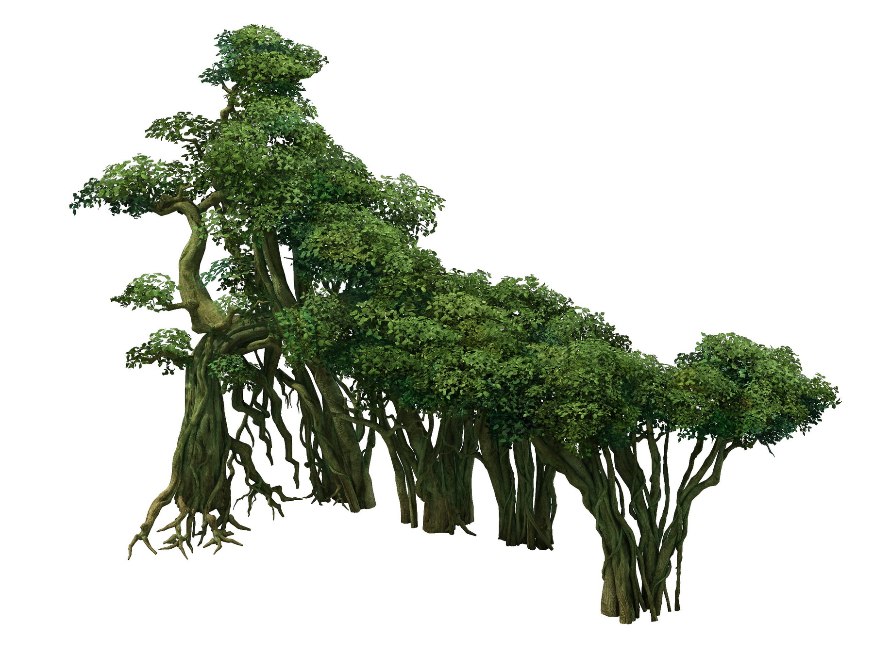 ArtStation - Game Model - Forest - Tree 10 | Game Assets