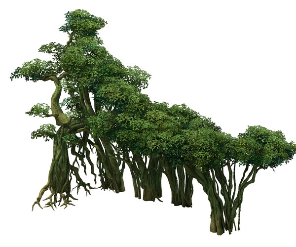 ArtStation - Game Model - Forest - Tree 10 | Game Assets