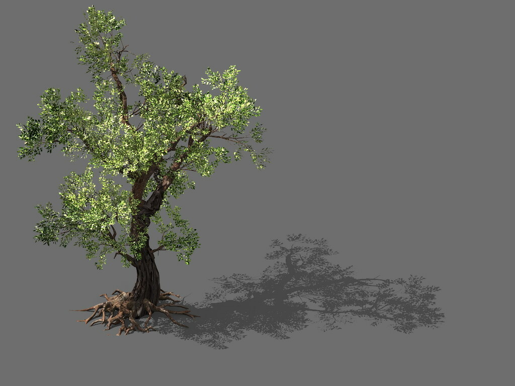 ArtStation - Game Models - Forest - Trees 02 | Game Assets