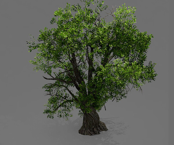 ArtStation - Game Model - Forest - Tree 04 | Game Assets