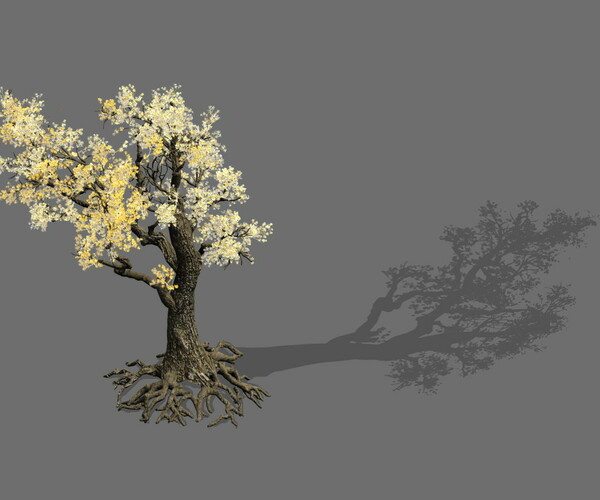 ArtStation - Game Models - Forest - Trees 05 | Game Assets