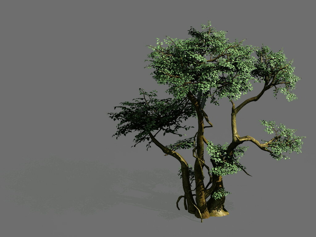 ArtStation - Game Models - Forest - Trees 07 | Game Assets