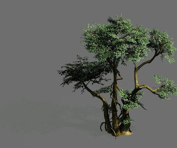 ArtStation - Game Models - Forest - Trees 07 | Game Assets