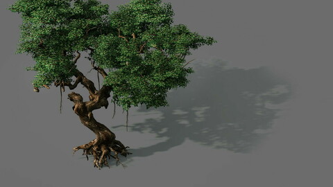 ArtStation - Game Models - Forest - Trees 09 | Game Assets