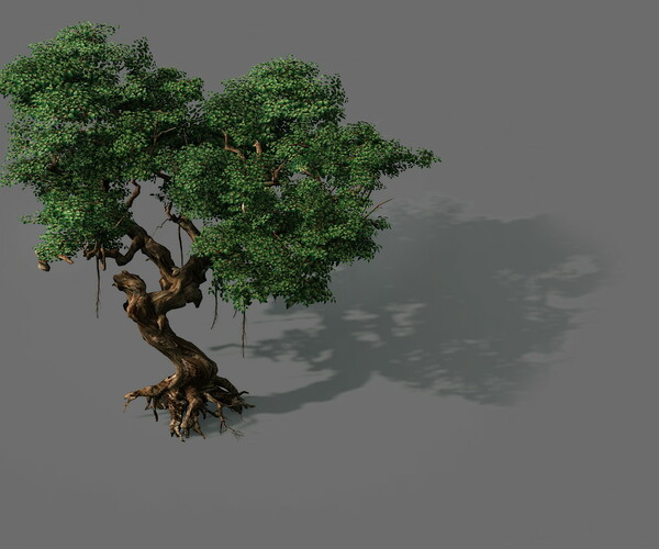 ArtStation - Game Models - Forest - Trees 09 | Game Assets