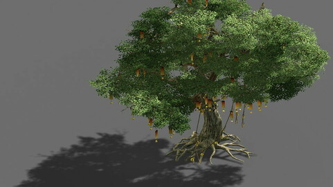 ArtStation - Game Models - Forest - Trees 10 | Game Assets