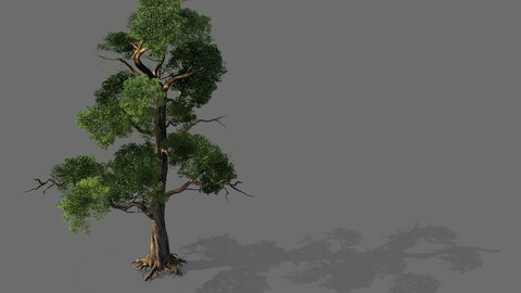 ArtStation - Game Model - Forest - Tree 11 | Game Assets