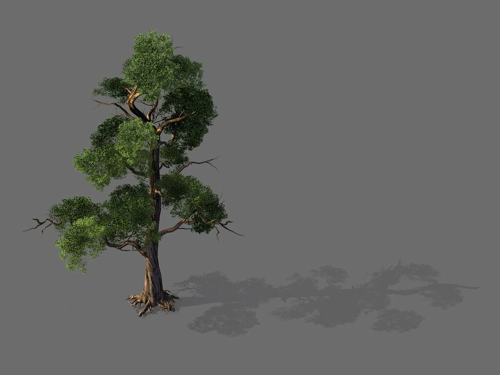 ArtStation - Game Model - Forest - Tree 11 | Game Assets