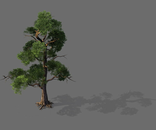 ArtStation - Game Model - Forest - Tree 11 | Game Assets