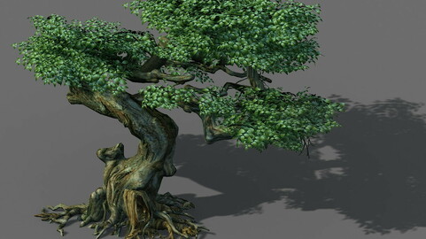 ArtStation - Game Model - Forest - Trees 12 | Game Assets