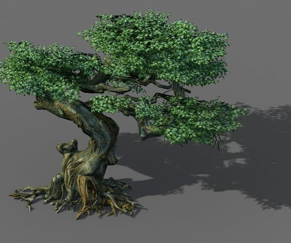 ArtStation - Game Model - Forest - Trees 12 | Game Assets