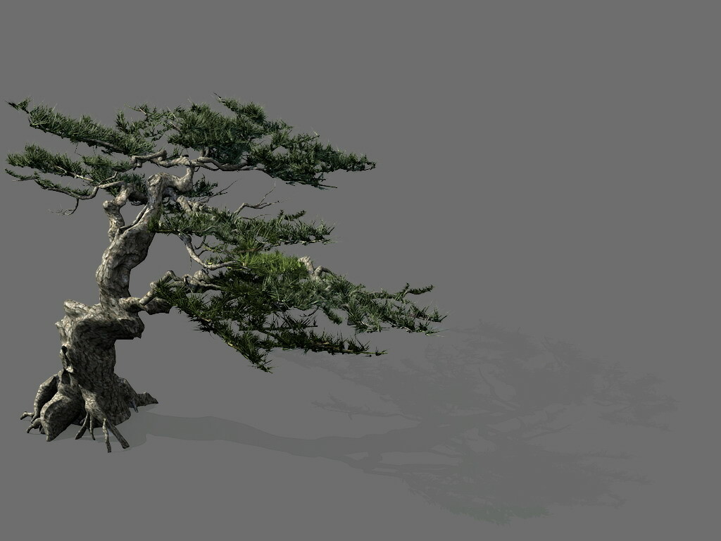 ArtStation - Game Model - Forest - Pine Tree 01 - Tree - Stone | Game ...