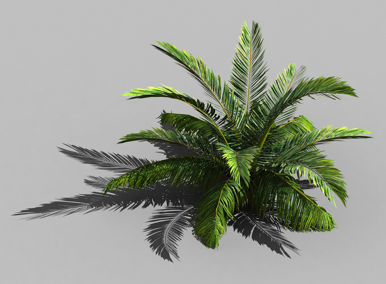 ArtStation - Game Model - Forest - Coconut Tree 01 | Game Assets