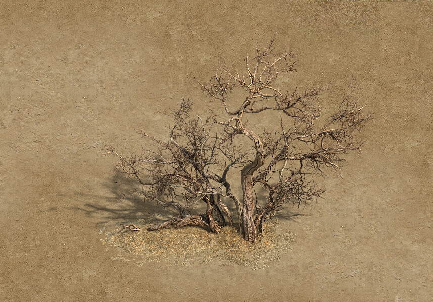 ArtStation - Desert Barracks - Dead Tree 04 | Game Assets