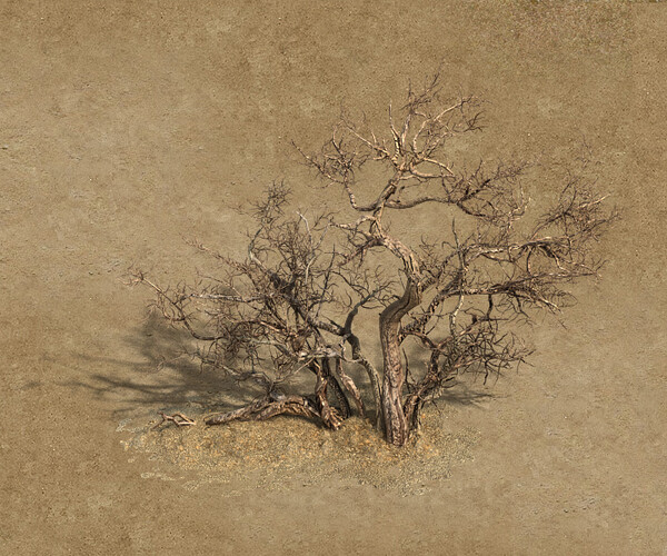 ArtStation - Desert Barracks - Dead Tree 04 | Game Assets