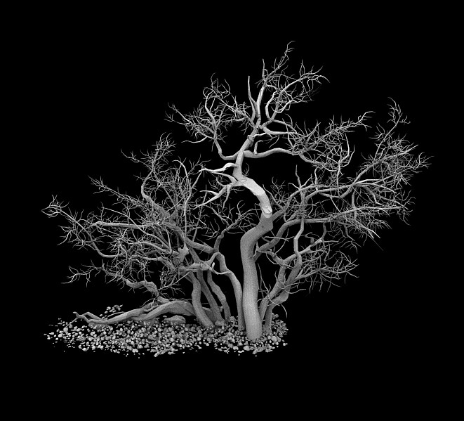 ArtStation - Desert Barracks - Dead Tree 04 | Game Assets