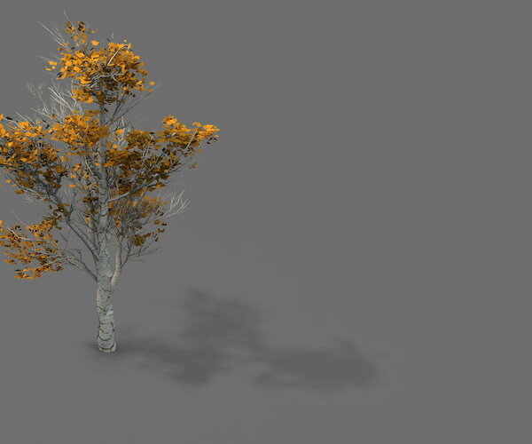 ArtStation - Game Models - Desert - Trees 04 | Game Assets