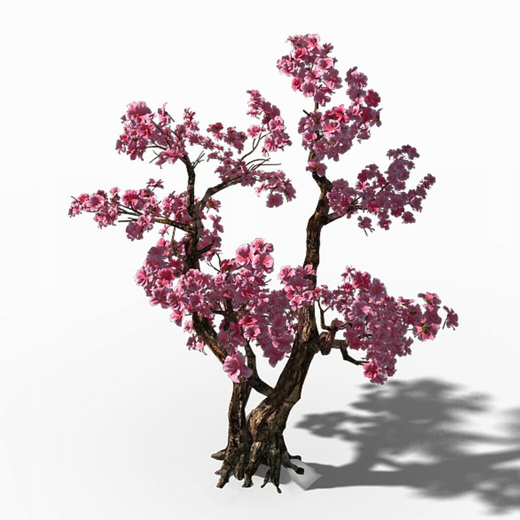 ArtStation - Taihu Lake coast - peach trees | Game Assets