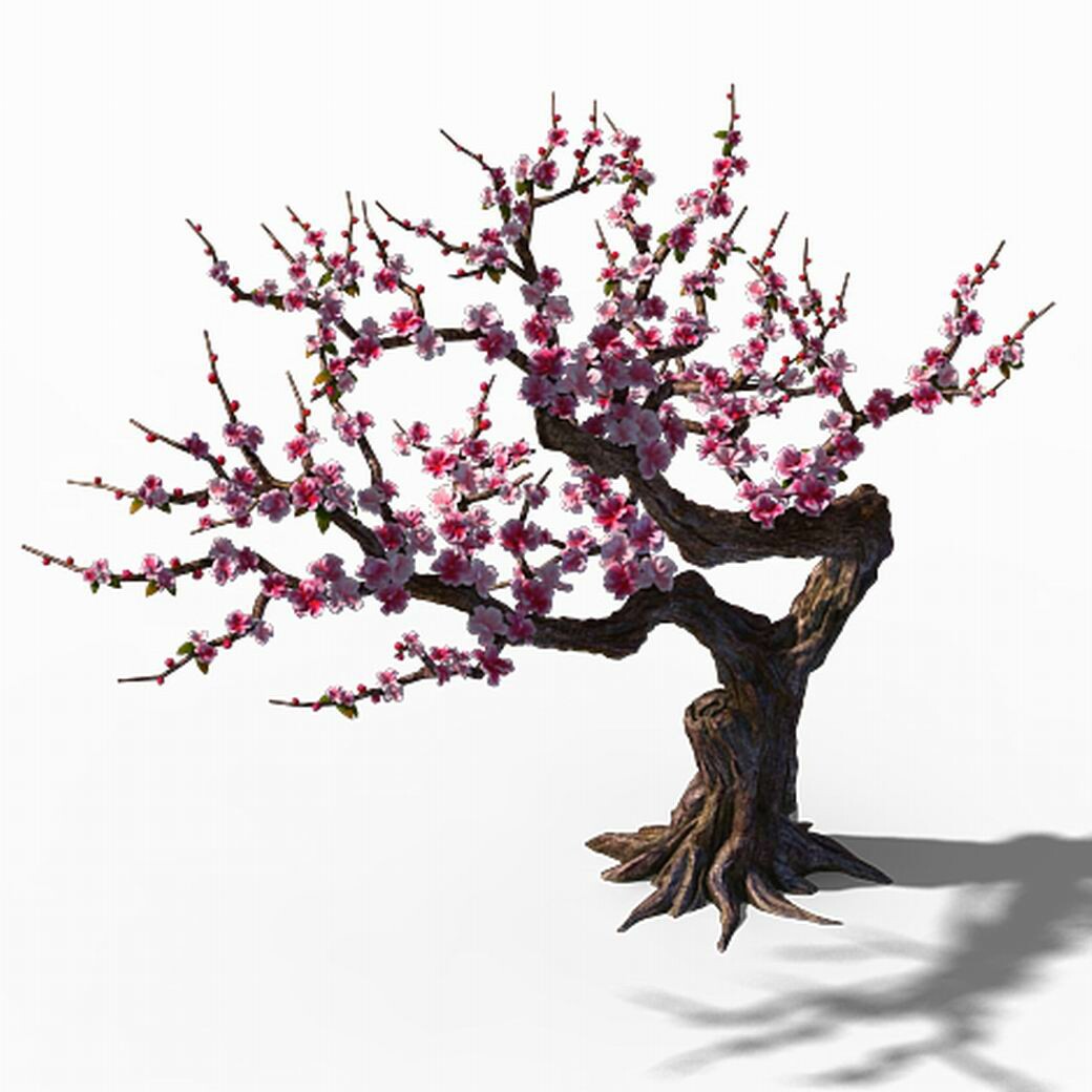 ArtStation - Peach Blossom Island - Peach Tree 01 | Game Assets