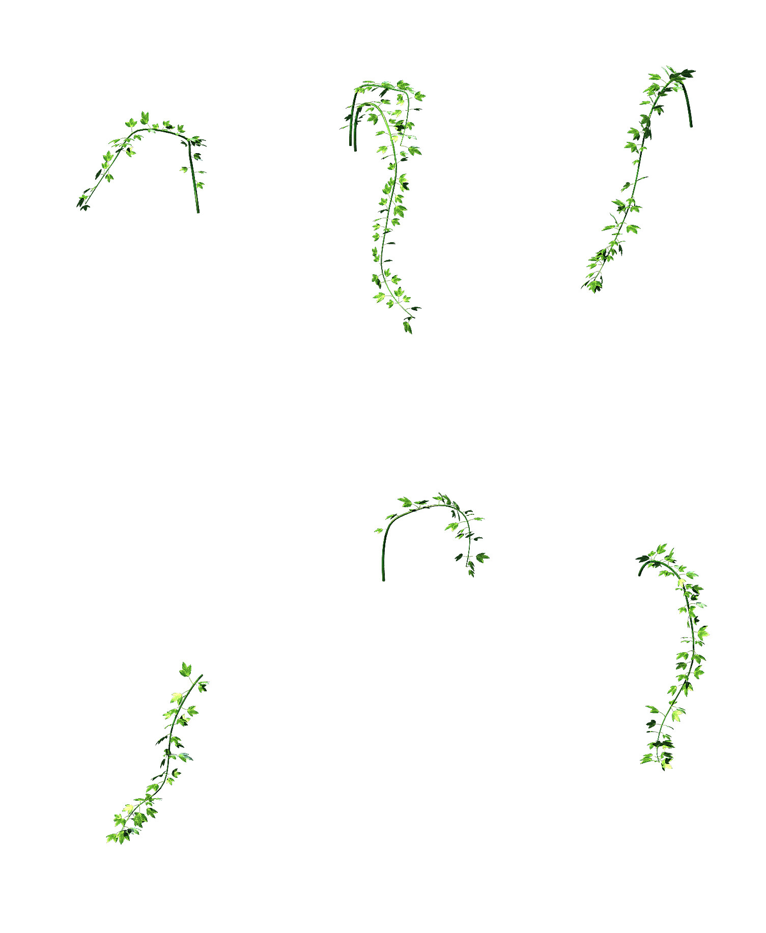 ArtStation - General plant - vines 35 | Game Assets