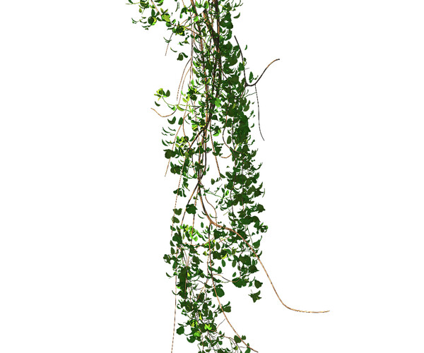 ArtStation - General plant - vines 02 | Game Assets