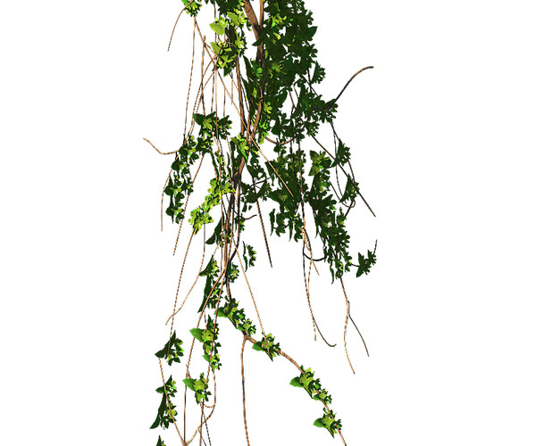 ArtStation - General plant - vines 02 | Game Assets