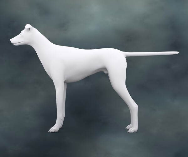 ArtStation - MDGH.005 Rigged Dog | Resources
