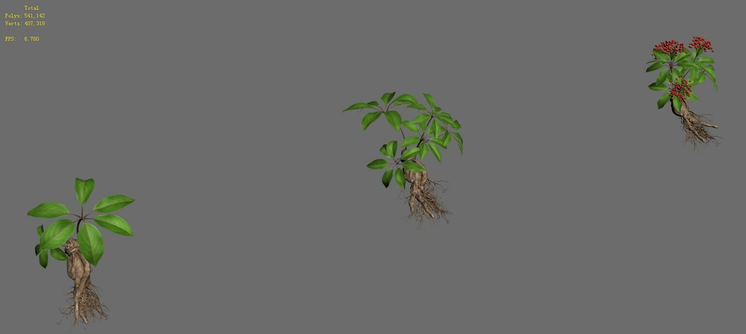 ArtStation - Plant - ginseng | Game Assets