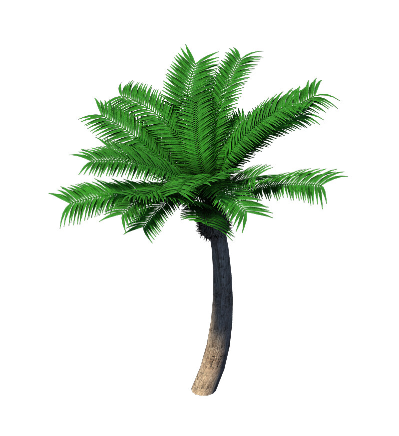 ArtStation - Plant - Coconut Tree 32 | Game Assets