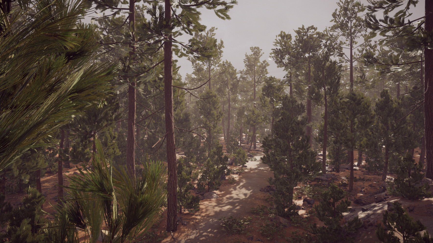 ArtStation - Dense Coniferous Forest (Unity Package) | Game Assets