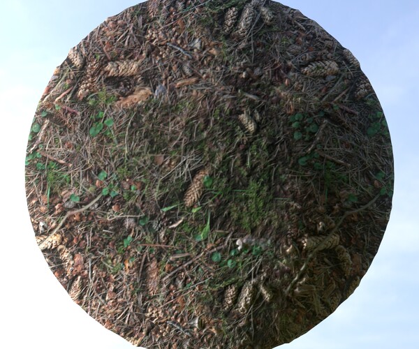 ArtStation - Forest Ground 20 PBR Material | Game Assets