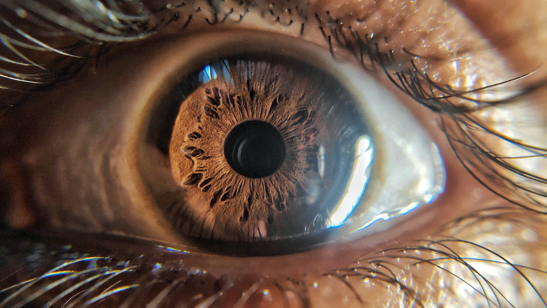 ArtStation - Hypnotic Eye | Artworks