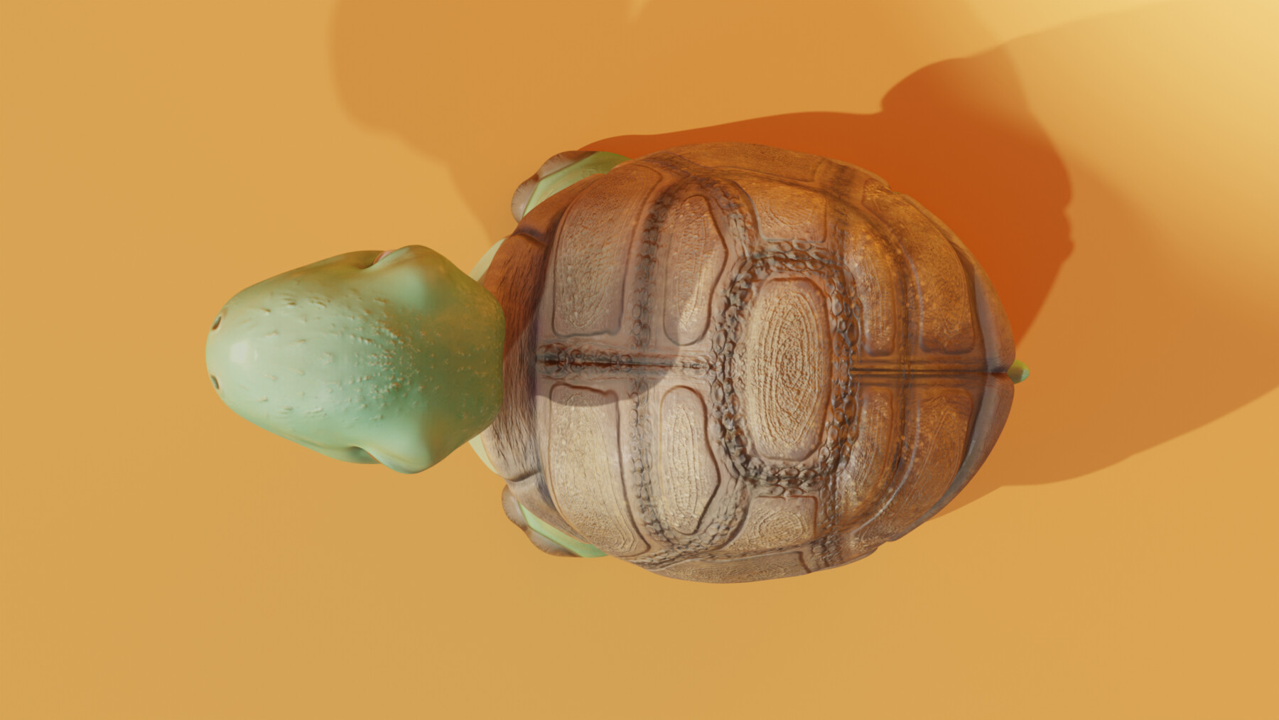 ArtStation - 3d Stylized Turtle - Rigged | Resources