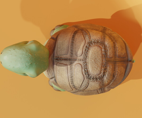 ArtStation - 3d Stylized Turtle - Rigged | Resources