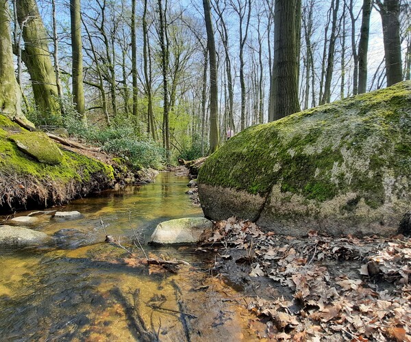 ArtStation - Nature Reference Pack 700+ Photos | Resources