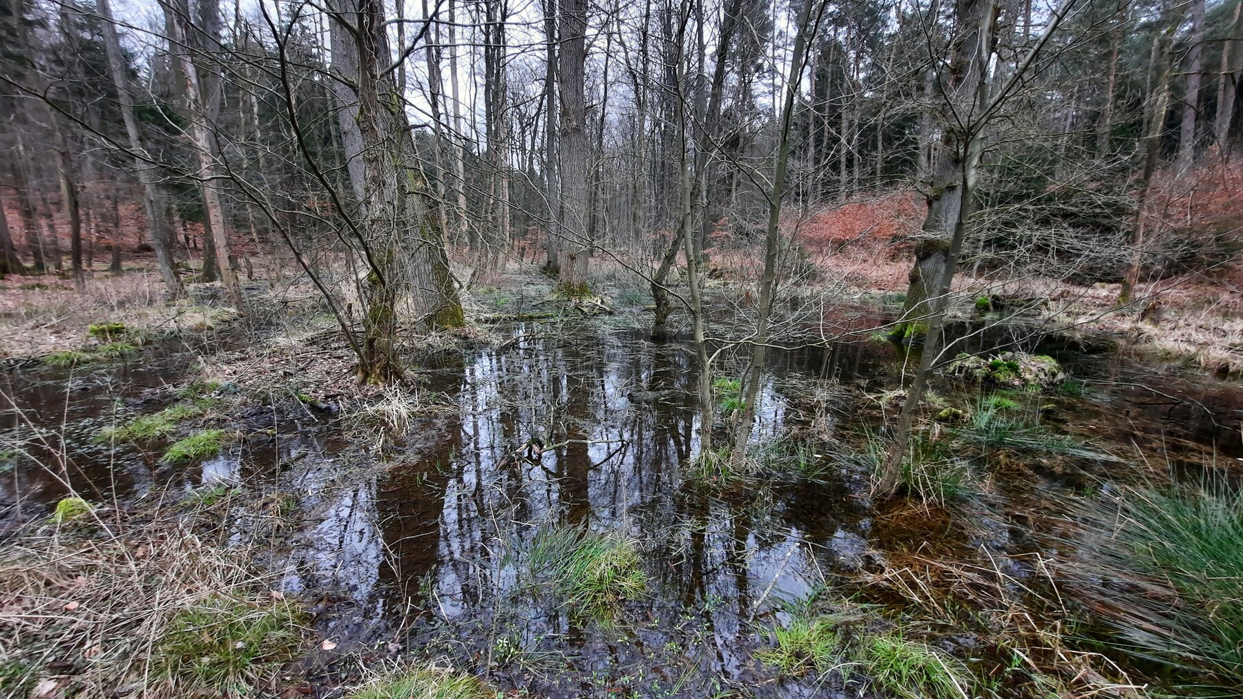 ArtStation - Nature Reference Pack 700+ Photos | Resources