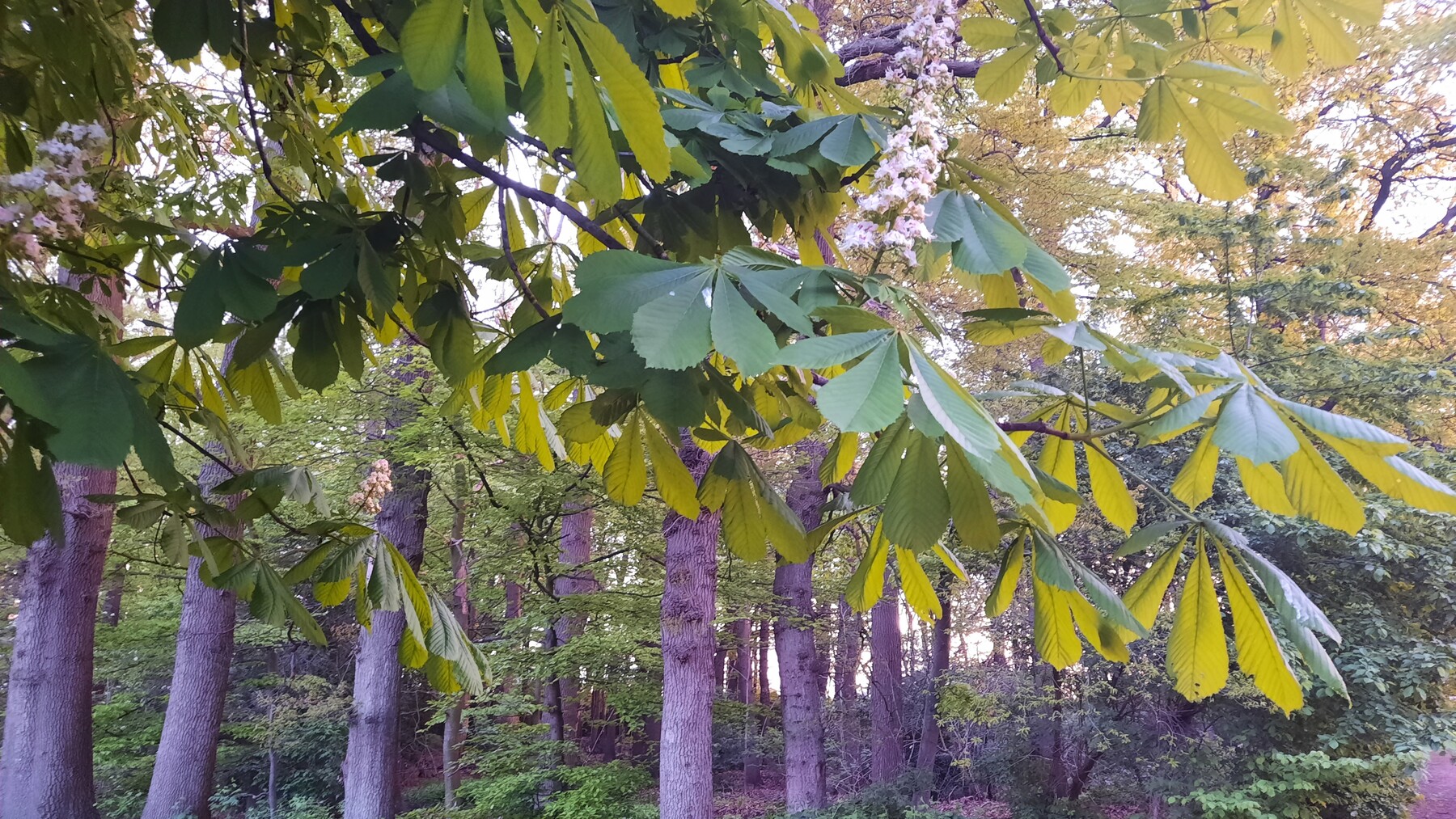 ArtStation - Nature Reference Pack 700+ Photos | Resources