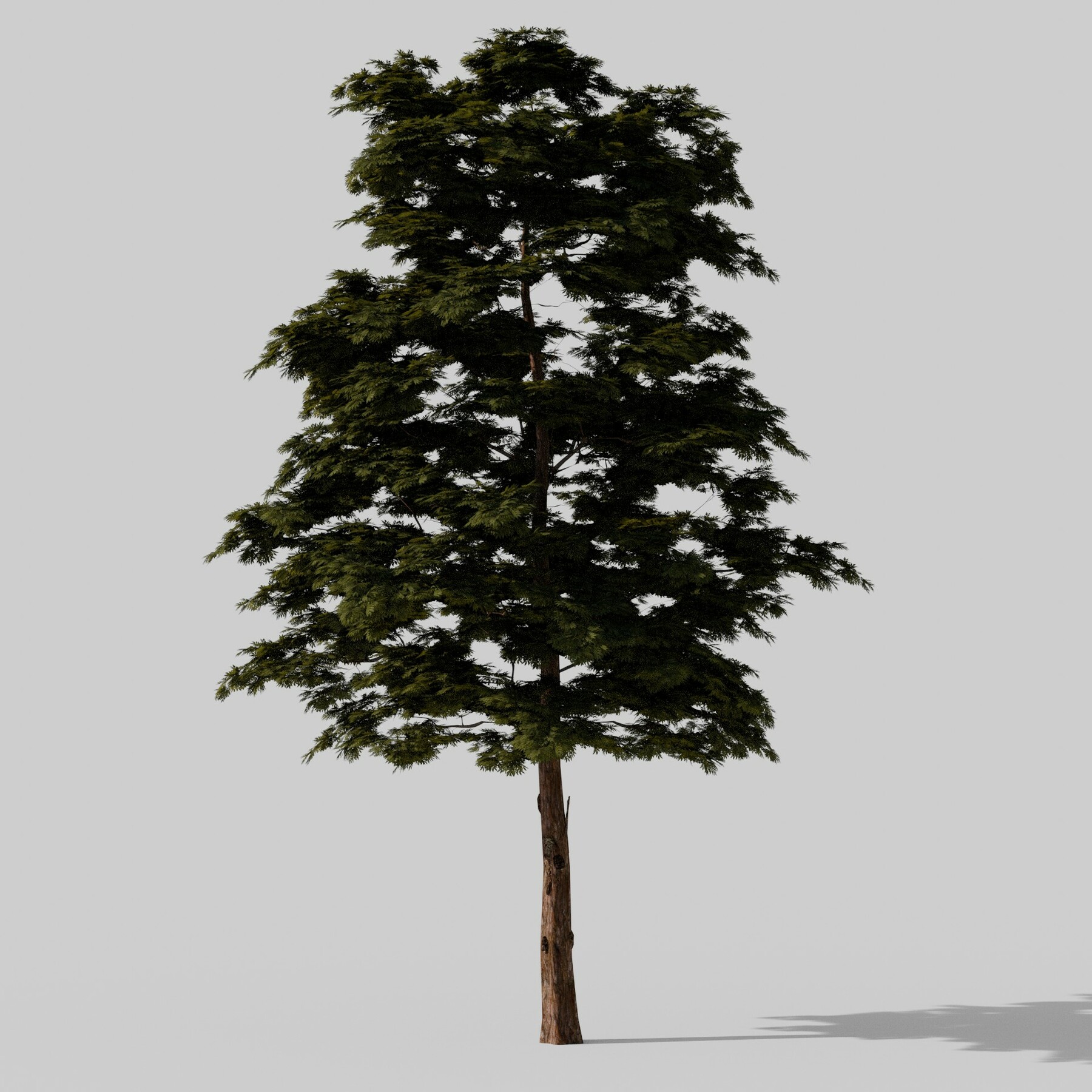 ArtStation - Large Trees Lowpoly Collection | Resources