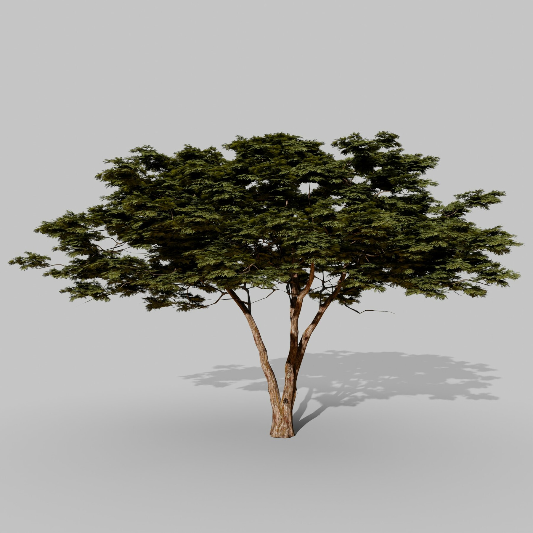 ArtStation - Large Trees Lowpoly Collection | Resources